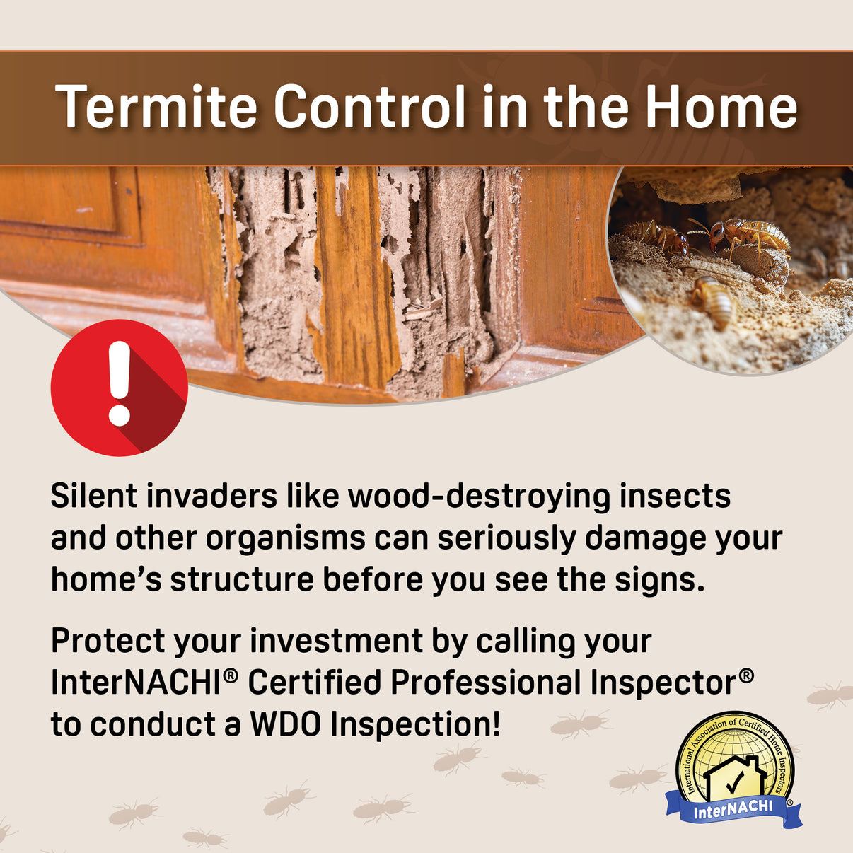 Termite Inspection PDF Flyer & Social Media Graphics – Inspector Outlet