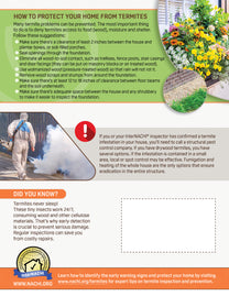 Termite Inspection PDF Flyer & Social Media Graphics – Inspector Outlet